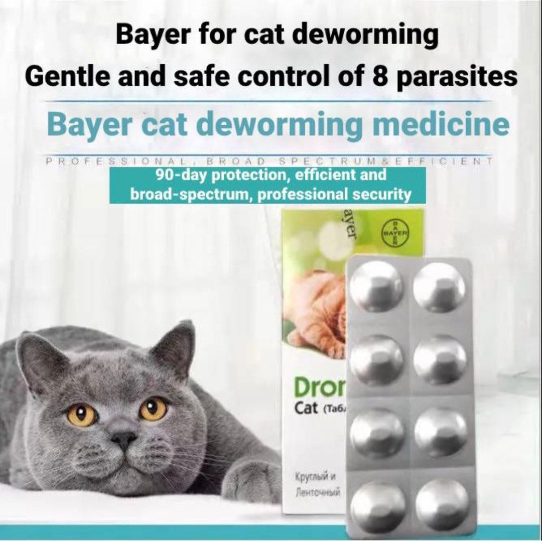 DRONTAL DEWORM CAT TABLET, Pet Supplies, Health & Grooming on Carousell