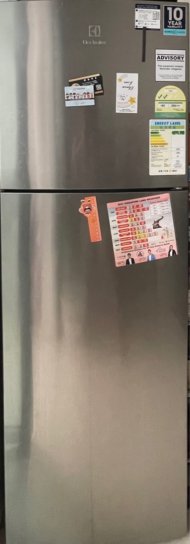 Electrolux 2 door top freezer ETB2802H 256L, TV & Home Appliances, Kitchen Appliances ...