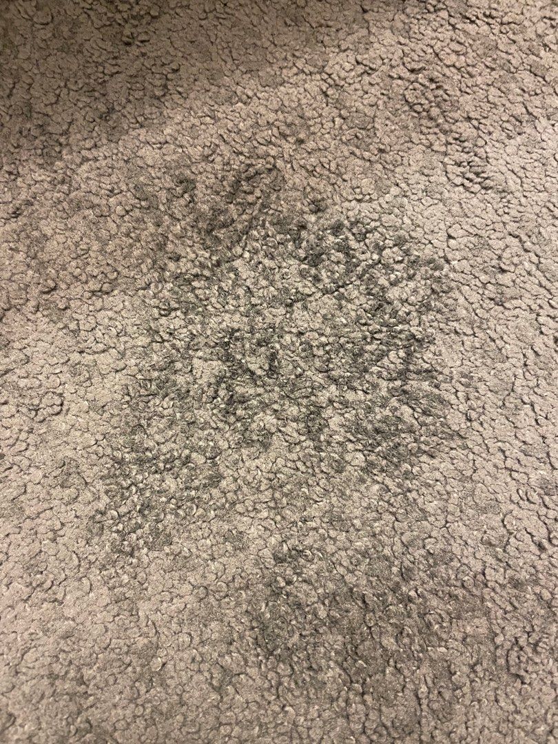 Ikea Carpet - LANGSTED- available NOW, Furniture & Home Living, Home ...