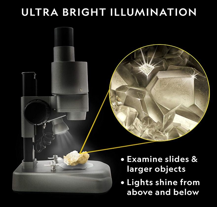 NATIONAL GEOGRAPHIC Dual LED Student Microscope, Commercial ...