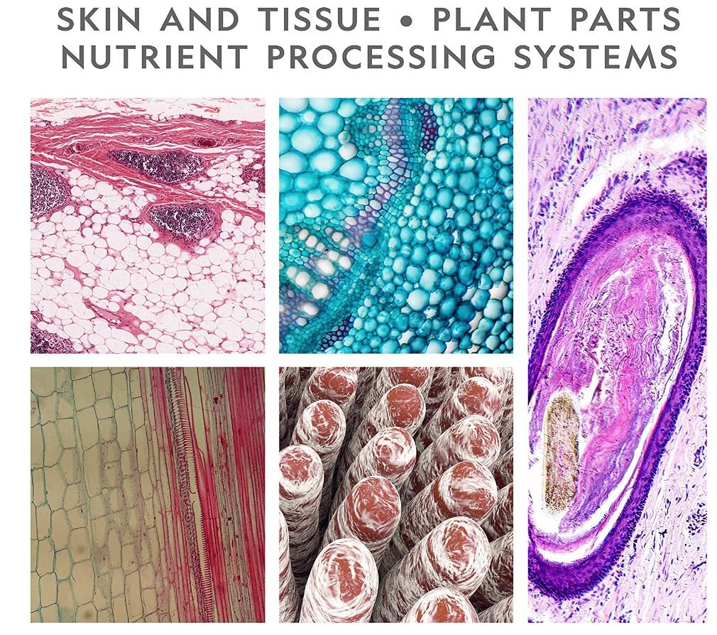 NATIONAL GEOGRAPHIC Dual LED Student Microscope, Commercial ...