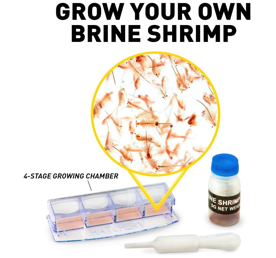 NATIONAL GEOGRAPHIC Dual LED Student Microscope, Commercial ...