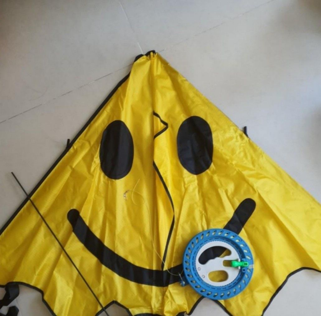 [New] Smiley face kite, Sports Equipment, Sports & Games, Kites on ...
