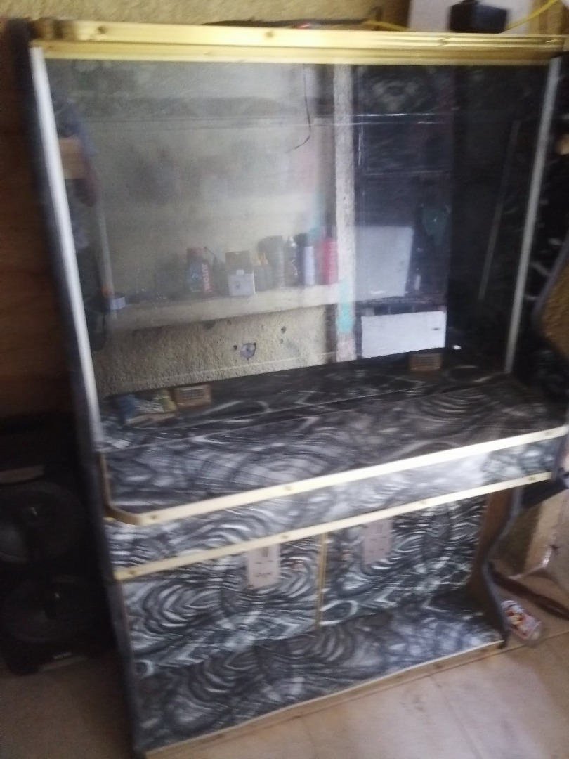 PISO WIFI and/or PISO XBOX, Computers & Tech, Office & Business ...