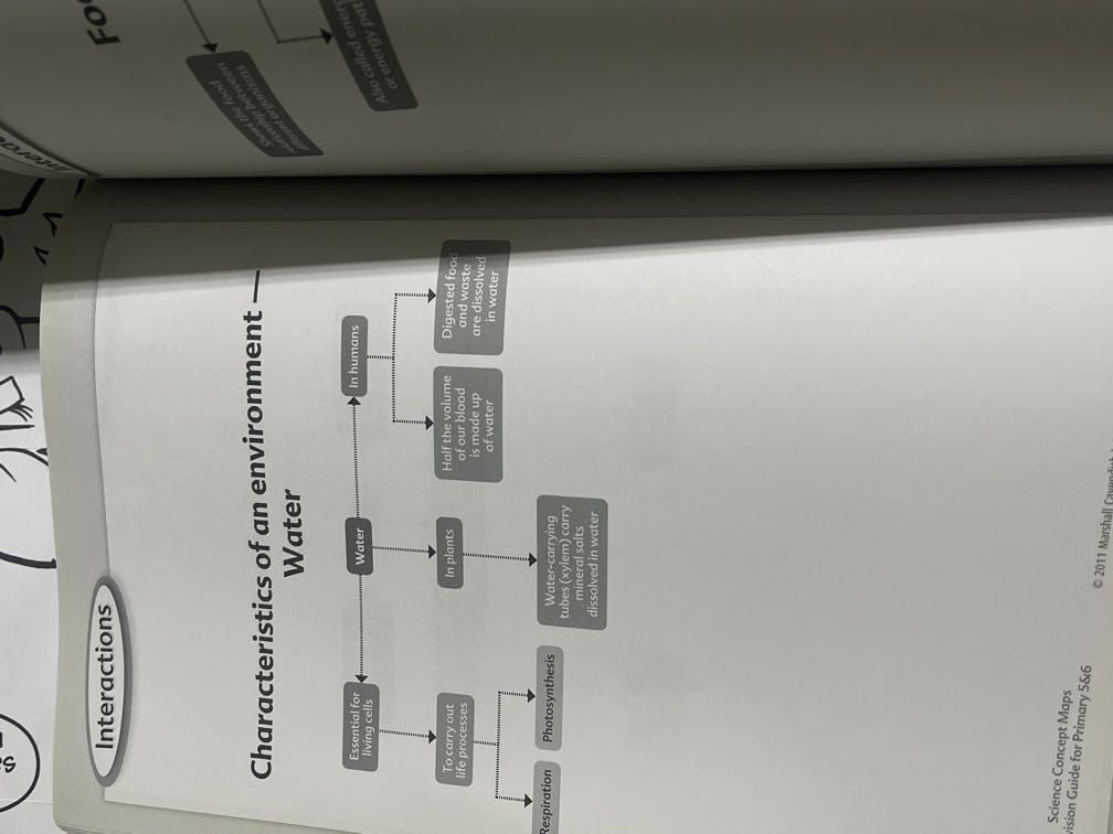 PSLE Science, P6 Science, P3-P6, Upper and Lower block science concept ...