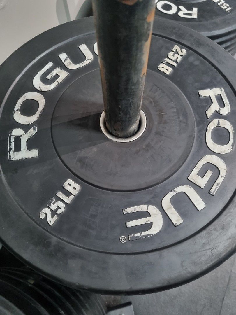 Rogue Bumper Plates, Sports Equipment, Exercise & Fitness, Weights ...