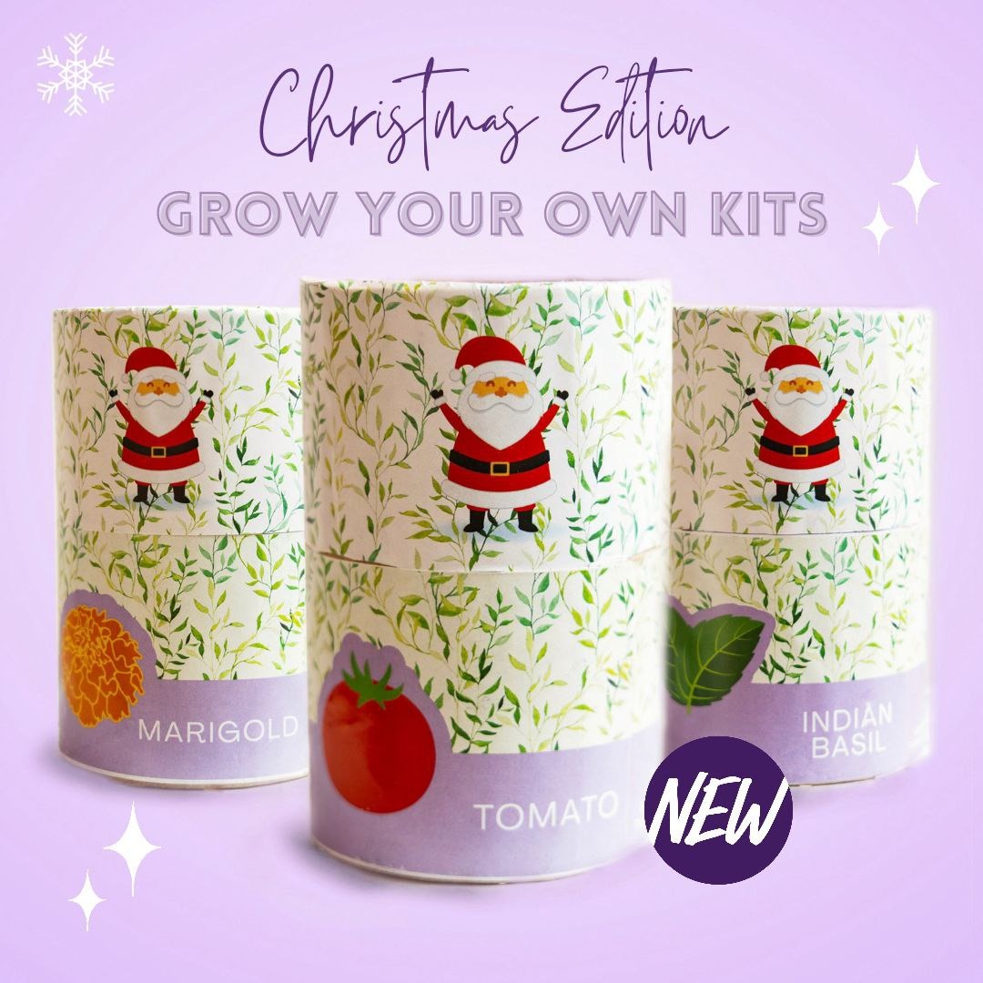 Santa Grow your own plant Kits (GIY), Furniture & Home Living ...