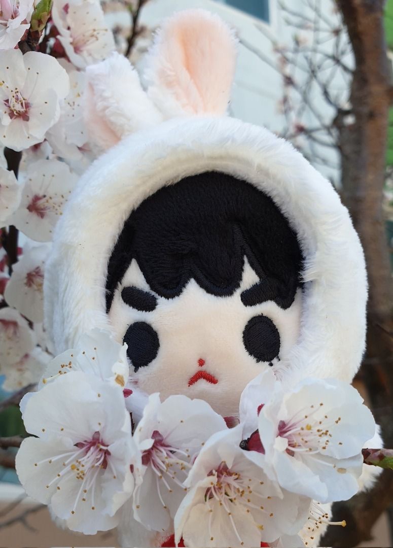 Seventeen SVT SCoups Seungcheol Mancheol 10cm Doll (with raccoon ...