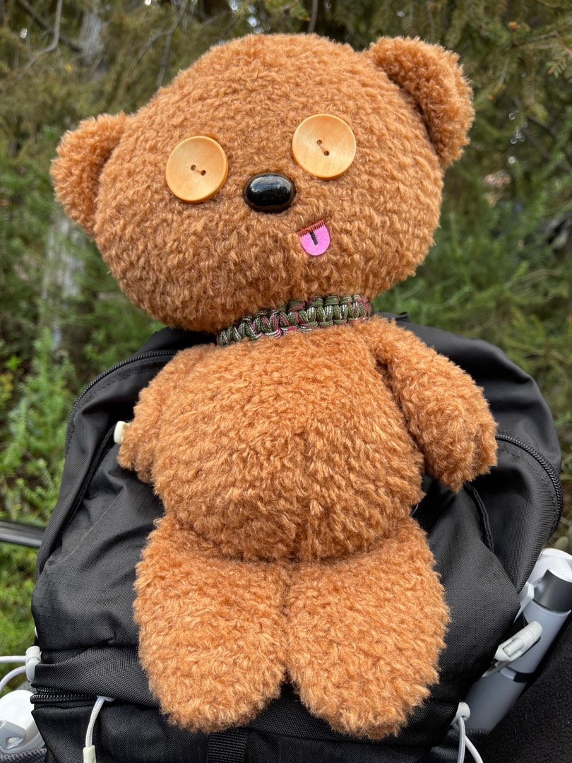 Usj限定 Tim bear, 興趣及遊戲, 玩具 & 遊戲類 - Carousell