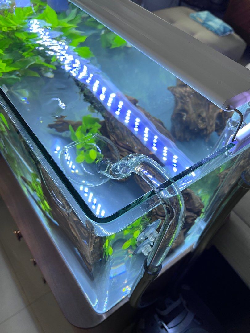 2 ft Tank with stand, filter and light included, Pet Supplies, Homes ...