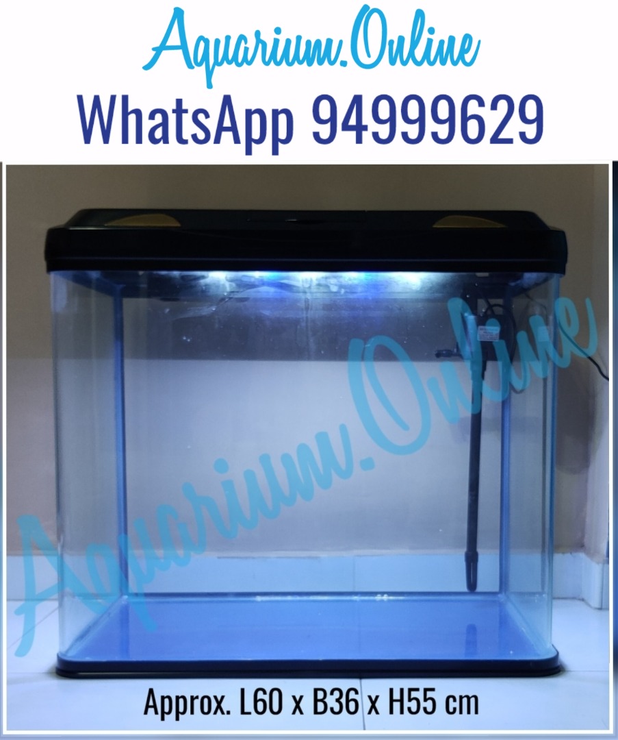 2ft Aquarium Fish Tank Set. Complete with Light and Filter., Pet ...