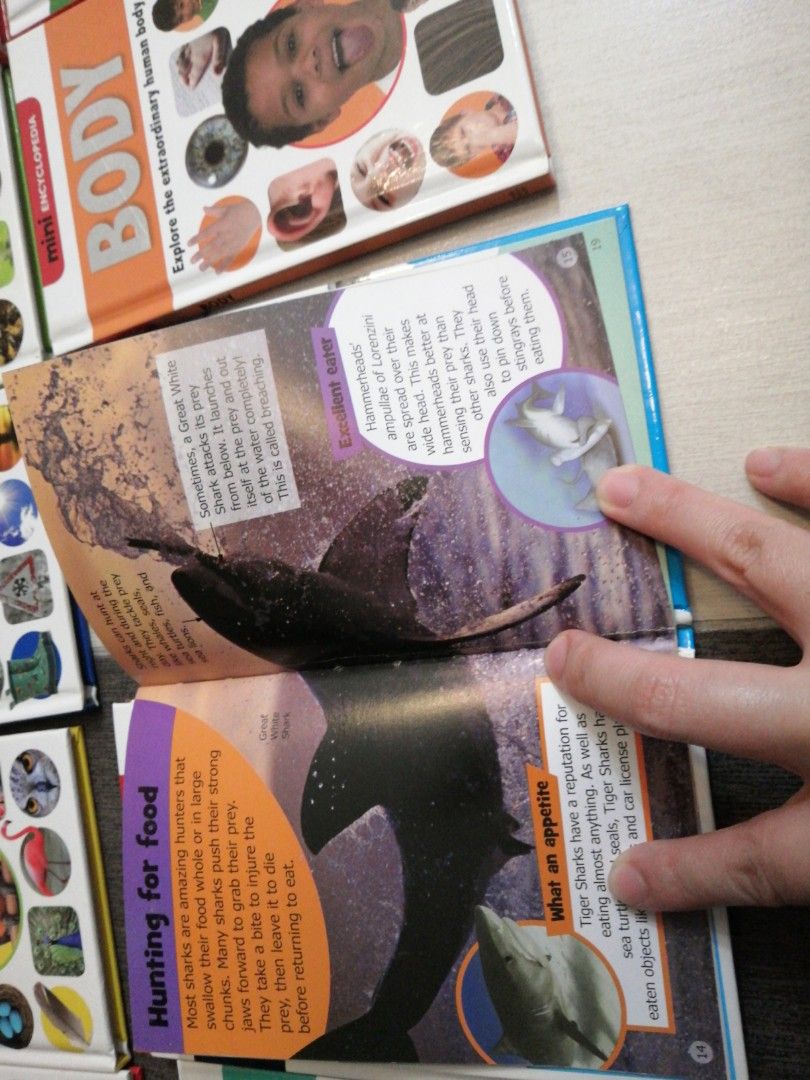 Grolier mini encyclopedia, Hobbies & Toys, Books & Magazines, Children ...