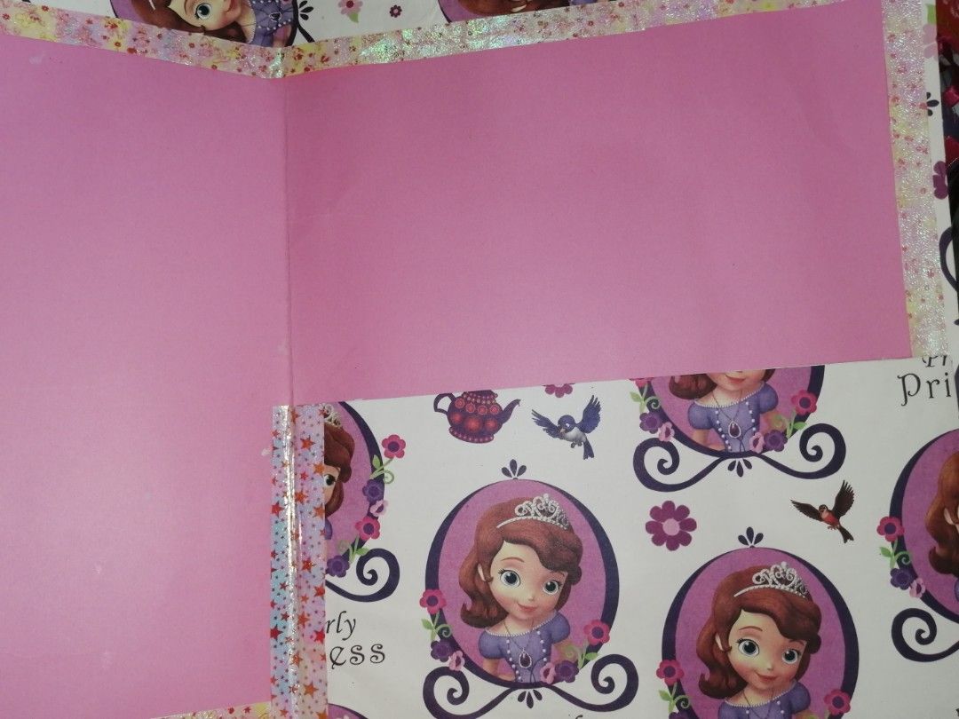 Handmade "Sofia the First" File, Hobbies & Toys, Stationery & Craft, Handmade Craft on Carousell