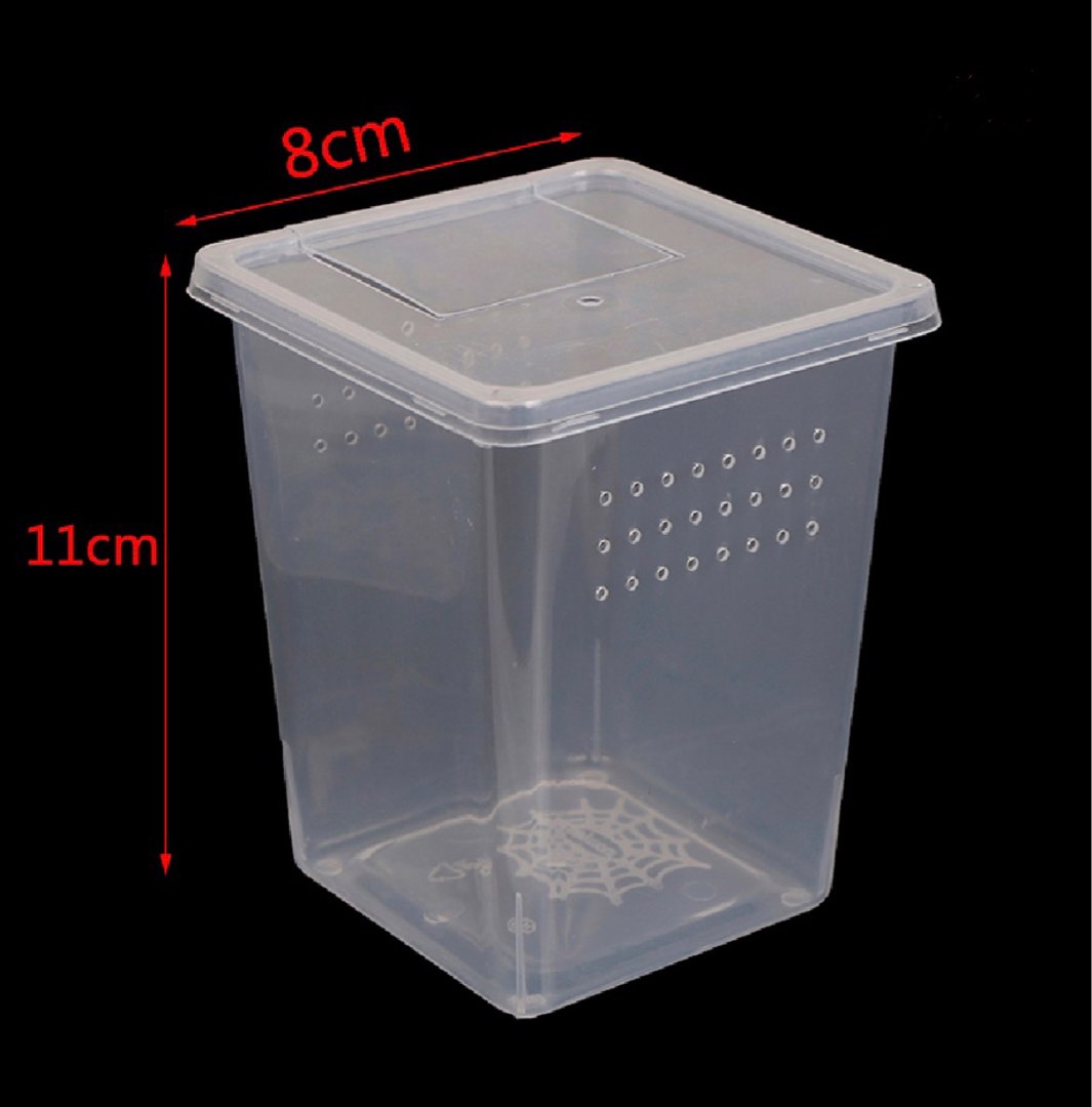 Small insect container breeding box, Pet Supplies, Homes & Other Pet ...