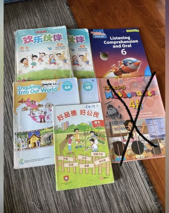 P6 textbook, Hobbies & Toys, Books & Magazines, Textbooks on Carousell