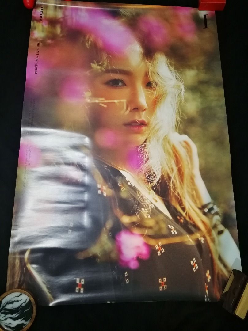 SNSD official posters, Hobbies & Toys, Memorabilia & Collectibles, K ...