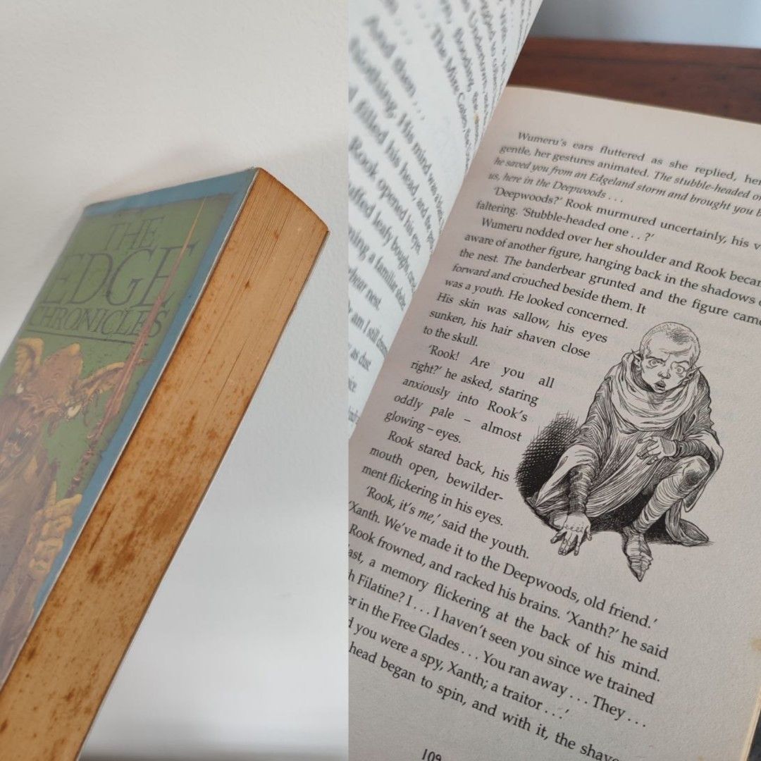 The Edge Chronicles: Freeglader by Paul Steward & Chris Riddell ...