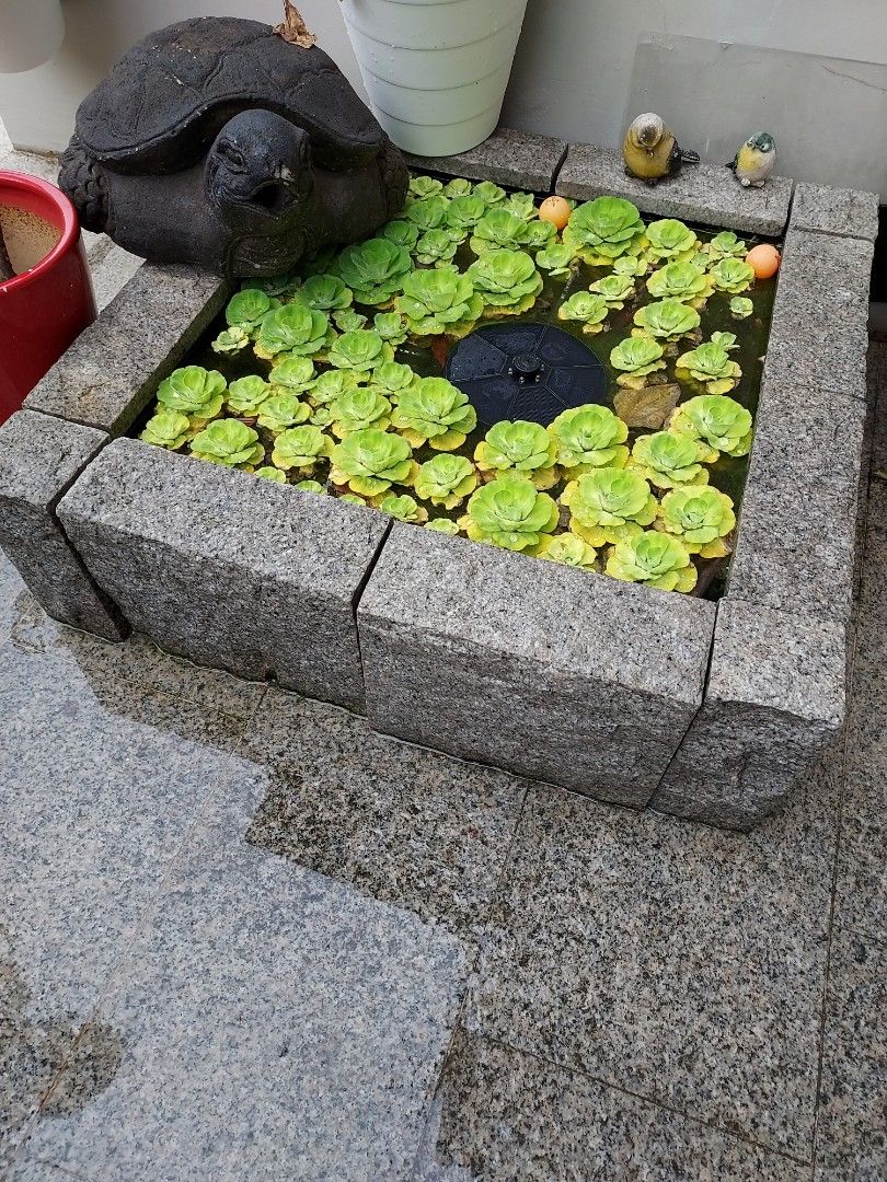 Turtle Water feature, Everything Else on Carousell