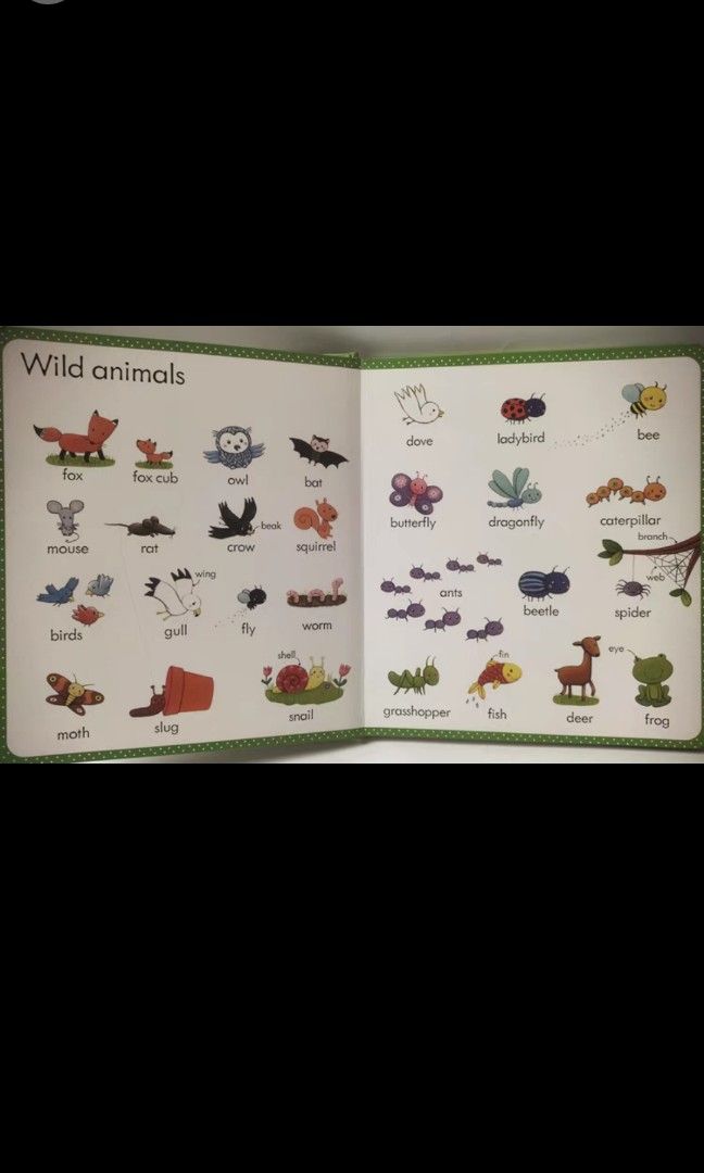 Usborne - My First word book on the farm, Hobbies & Toys, Books ...