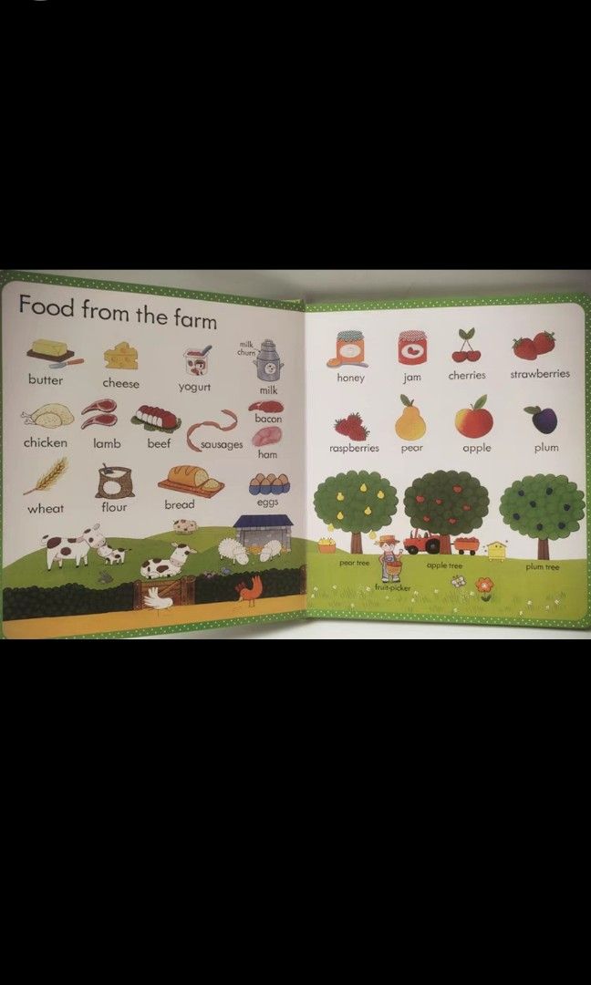Usborne - My First word book on the farm, Hobbies & Toys, Books ...