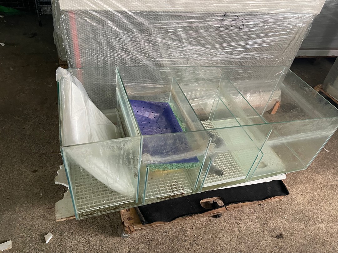 4ft sump tank, Pet Supplies, Homes & Other Pet Accessories on Carousell