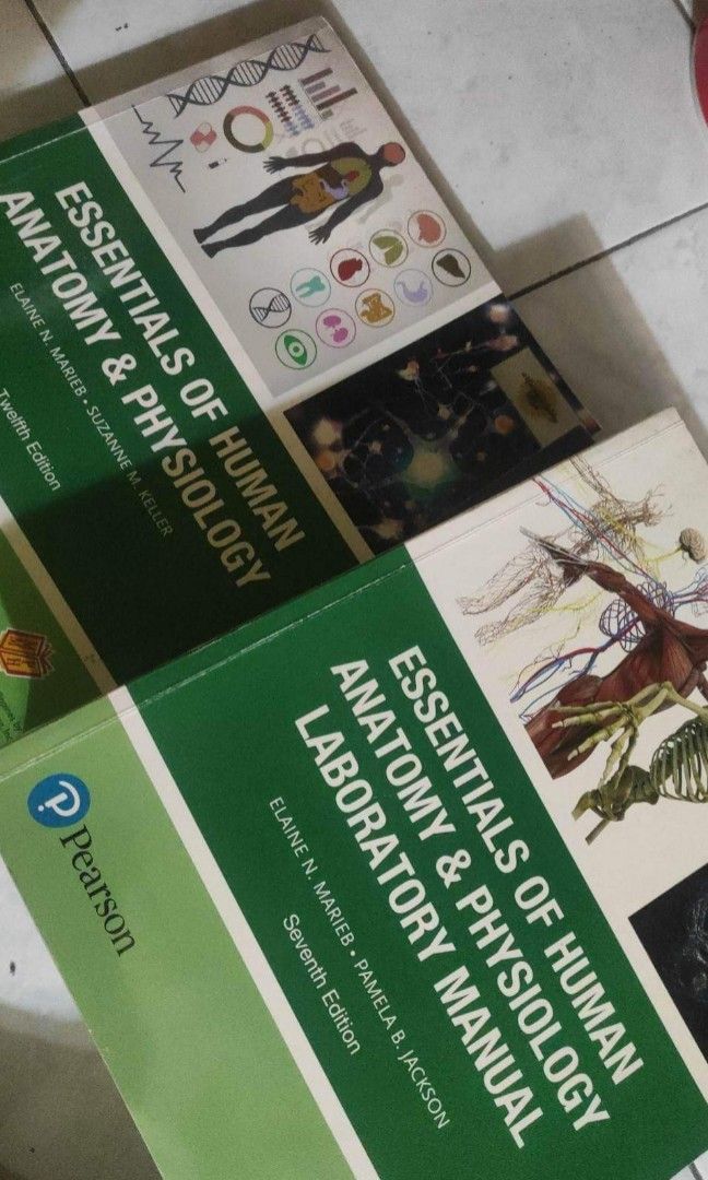 Anatomy and Physiology (ANAPHY) Book, Hobbies & Toys, Books & Magazines ...