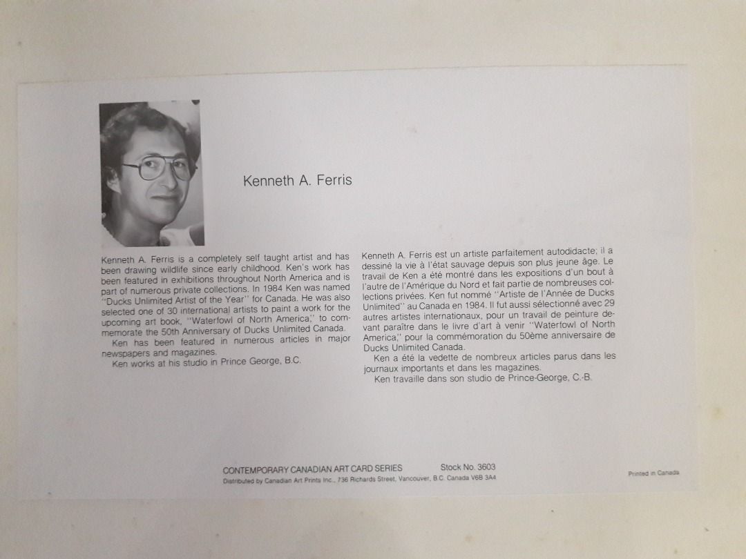 Art Print - Afternoon Rain Mallards by Kenneth A. Ferris, 1987, Hobbies ...