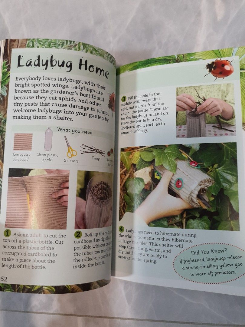 DK Adventures - Bug Hunters, Hobbies & Toys, Books & Magazines ...