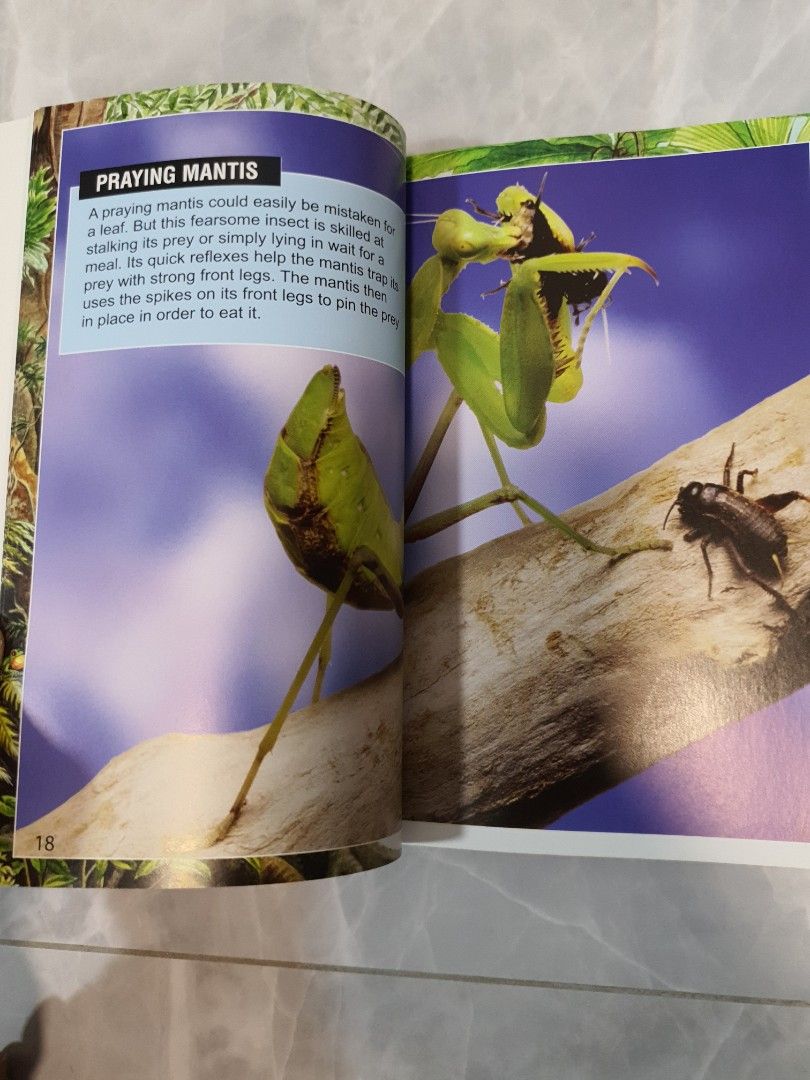 DK Adventures - Bug Hunters, Hobbies & Toys, Books & Magazines ...