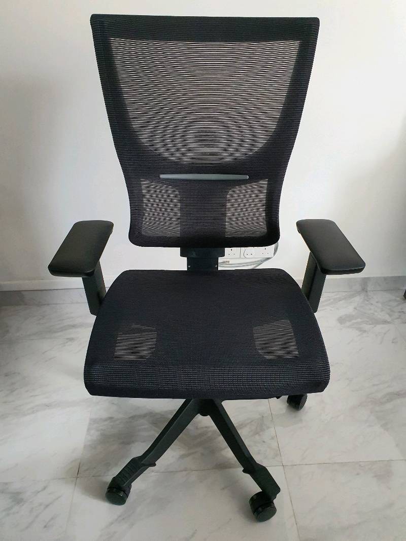 ErgoTune Classic - Ergonomic Office Chair, Furniture & Home Living ...