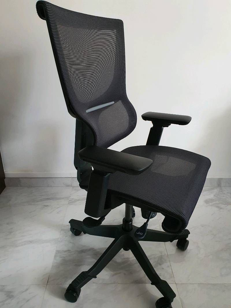 ErgoTune Classic - Ergonomic Office Chair, Furniture & Home Living ...