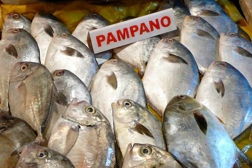 FRESH FROZEN GOLDEN PAMPANO!!!!!, Food & Drinks, Chilled & Frozen Food ...