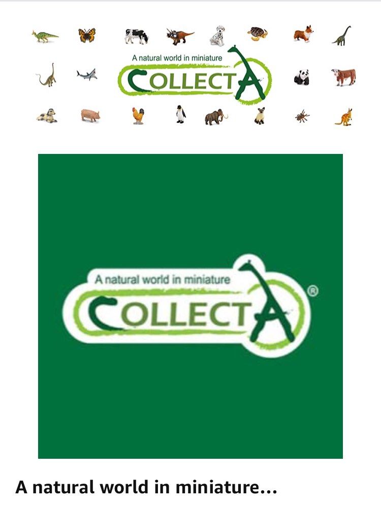 Genuine Collect A brand dinosaur (Jubaria), Hobbies & Toys, Toys ...