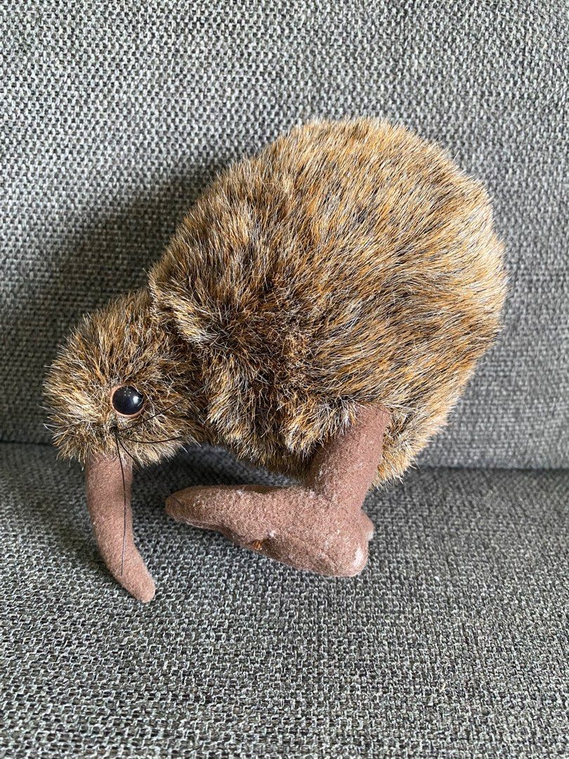 KIWI soft toy, Hobbies & Toys, Toys & Games on Carousell