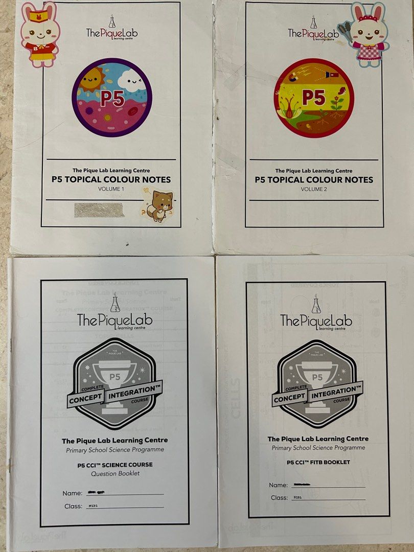 Preloved Pique lab CCI notes P5(2021), Hobbies & Toys, Books ...