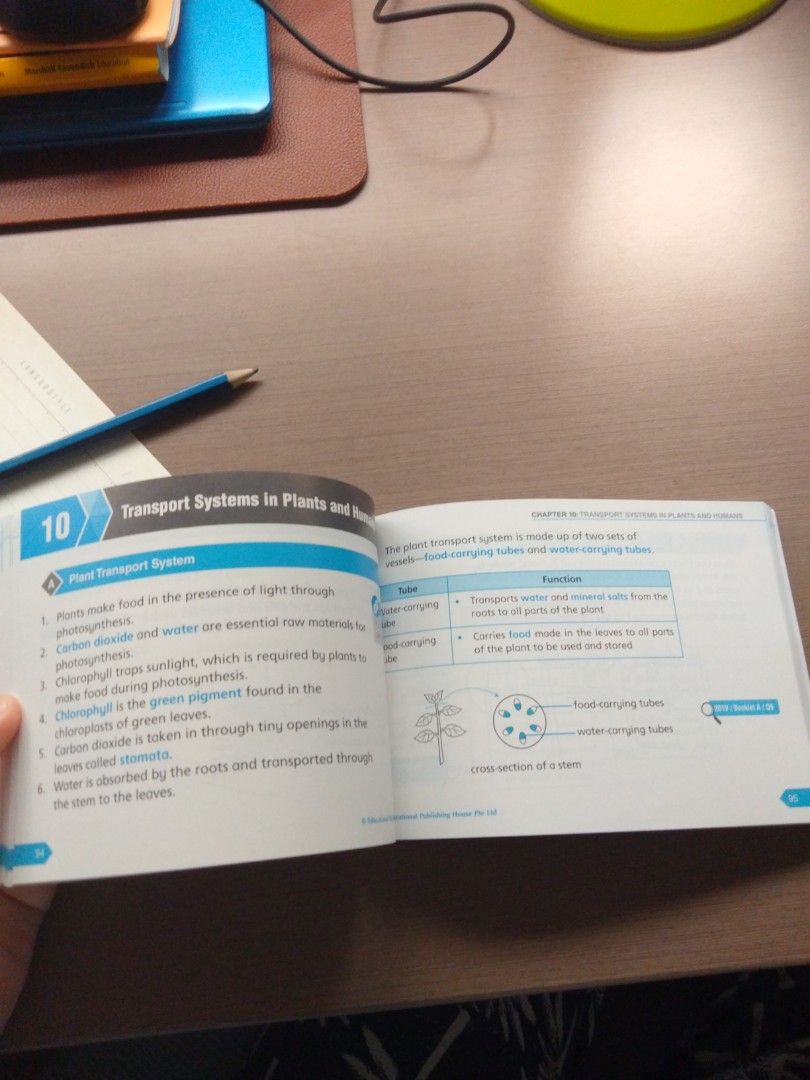 PSLE Science revision booklet, Hobbies & Toys, Books & Magazines ...