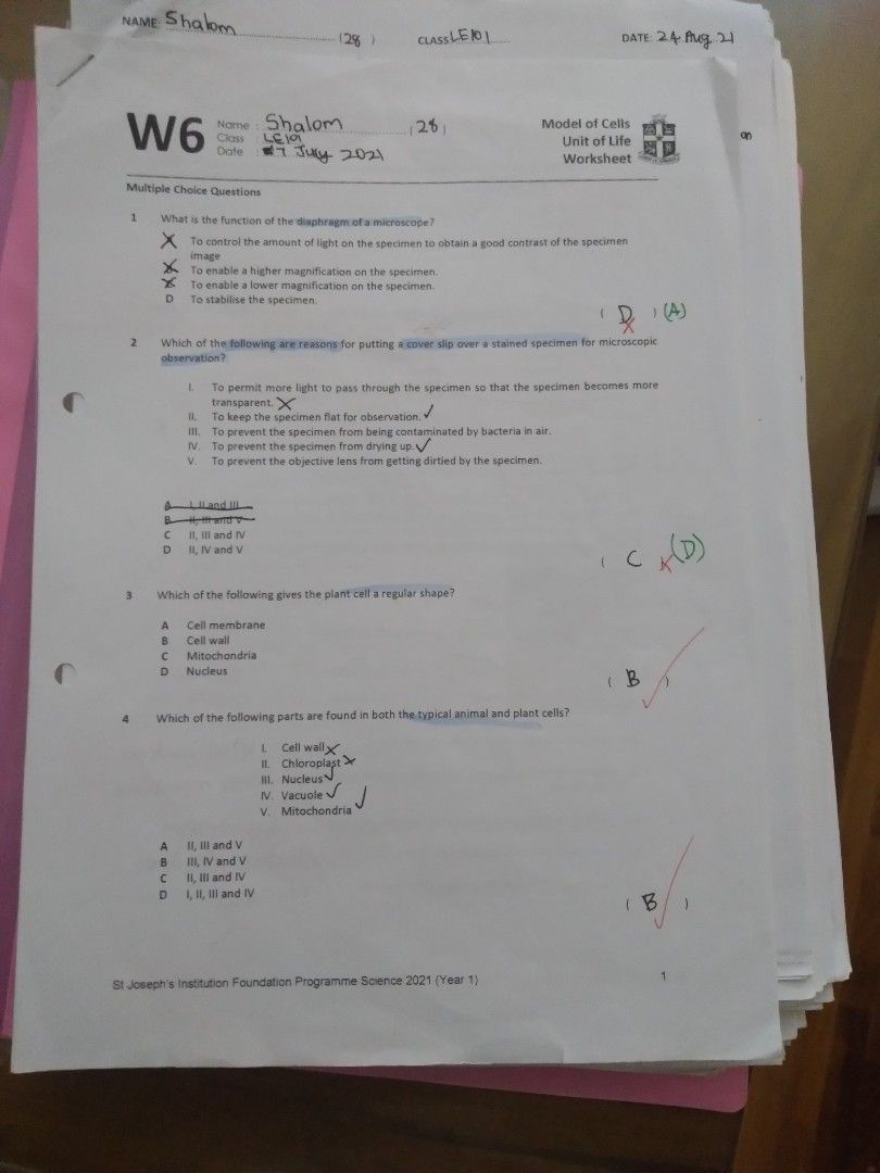 Secondary 1 Science St Joseph's Institution Worksheet, Hobbies & Toys ...