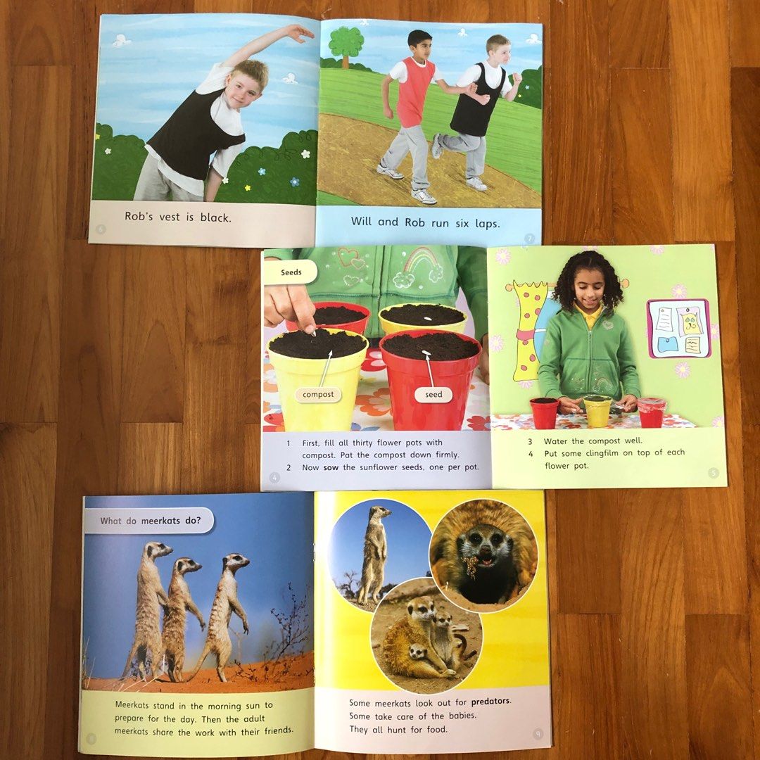 Set of 8 Rigby Star English story books phonics readers for children ...