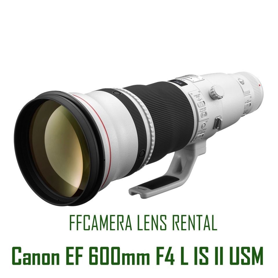 Sewa Canon EF 600mm f/4L IS II USM Rental, Photography, Lens & Kits on ...