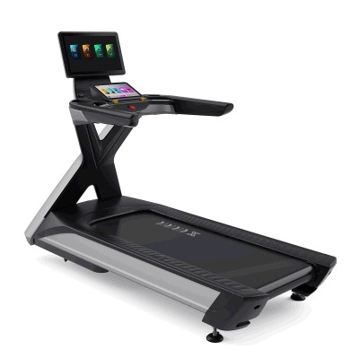 WNQ 4.0 hp AC Venus Treadmill VENUS-XT, Sports Equipment, Exercise ...