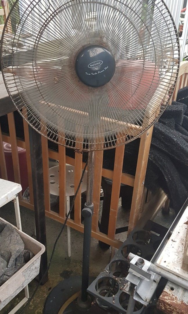 Working Standing Fans, Furniture & Home Living, Lighting & Fans, Fans ...