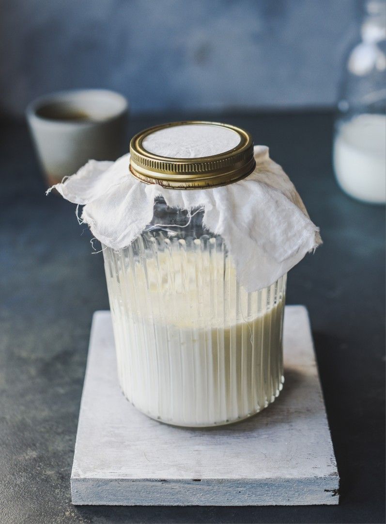 Live Milk Kefir Grains | Make Your Own Kefir Milk | Live Kefir Starter ...