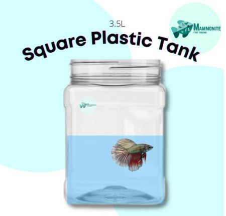 Aquarium Plastic Jar for Betta Fish Tank Container No Lid 3.5L, Pet ...
