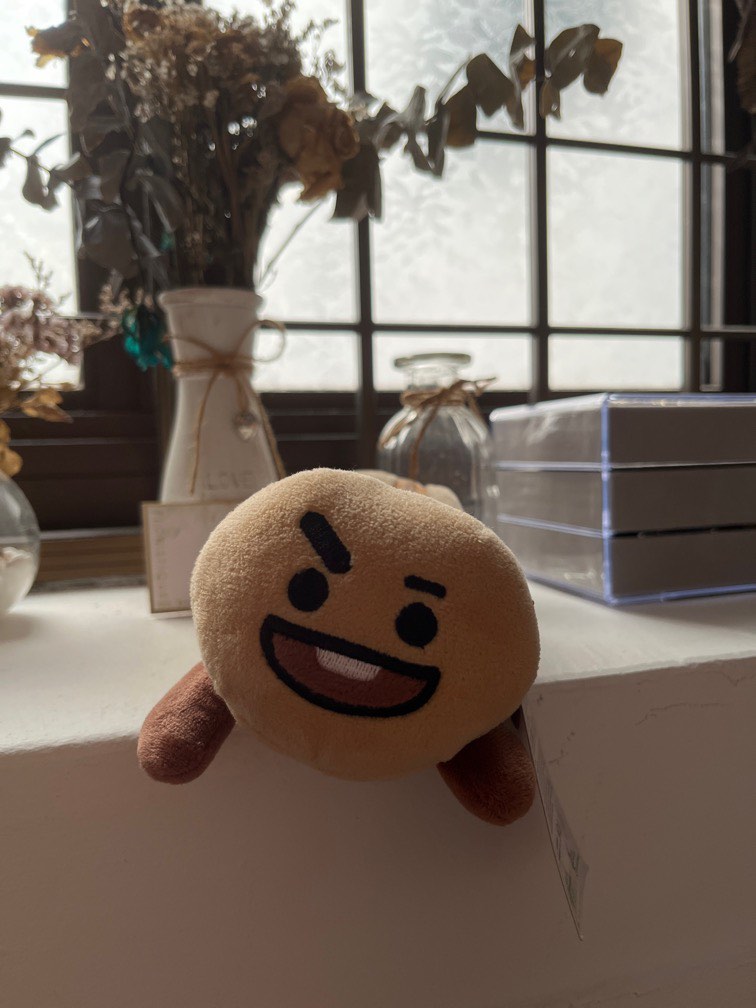 BT21 shooky pencil case, Hobbies & Toys, Memorabilia & Collectibles, K ...