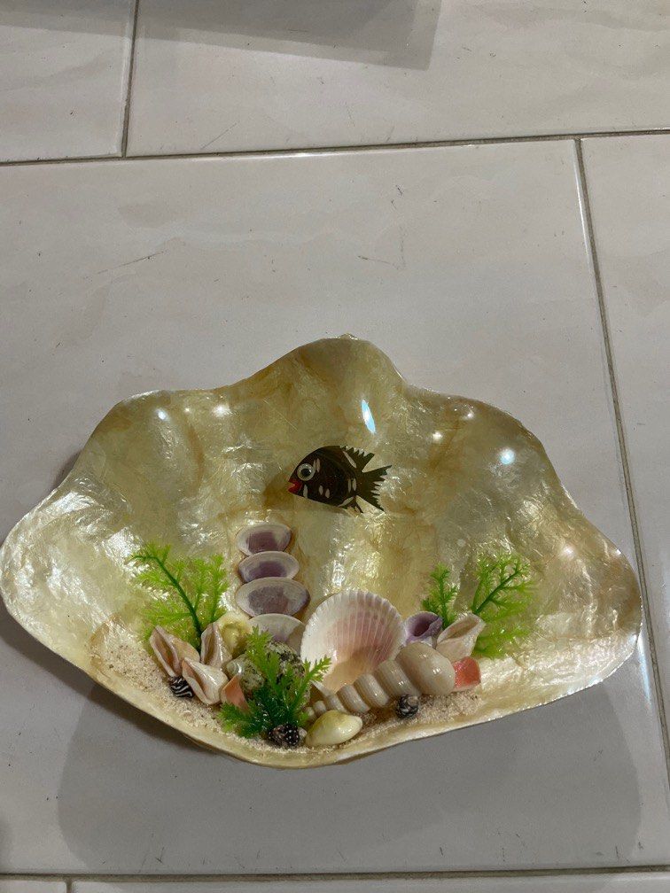 Decorative Real Seashell, Hobbies & Toys, Stationery & Craft, Handmade ...