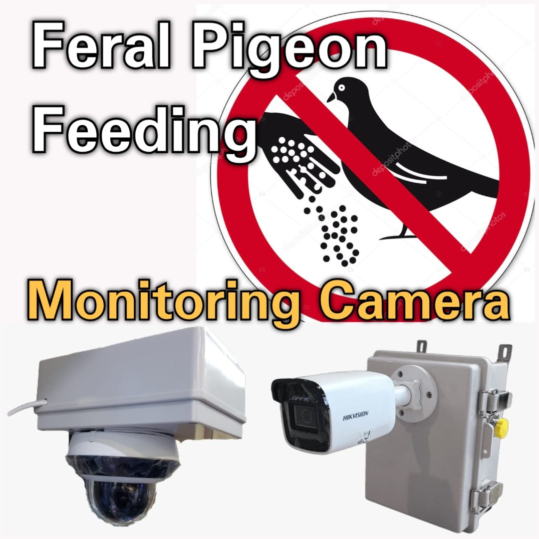 Feral Pigeon Feeder Monitoring AI CCTV Camera | Smart Wireless Outdoor ...