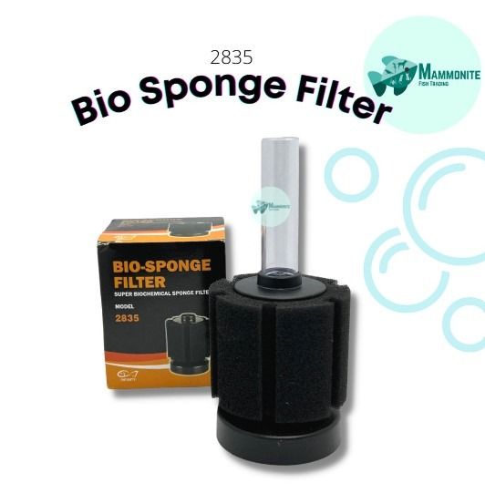 Infinity Bio Sponge Filter XY 2835 5.5x4.8cm Aquarium Filtration Clean ...