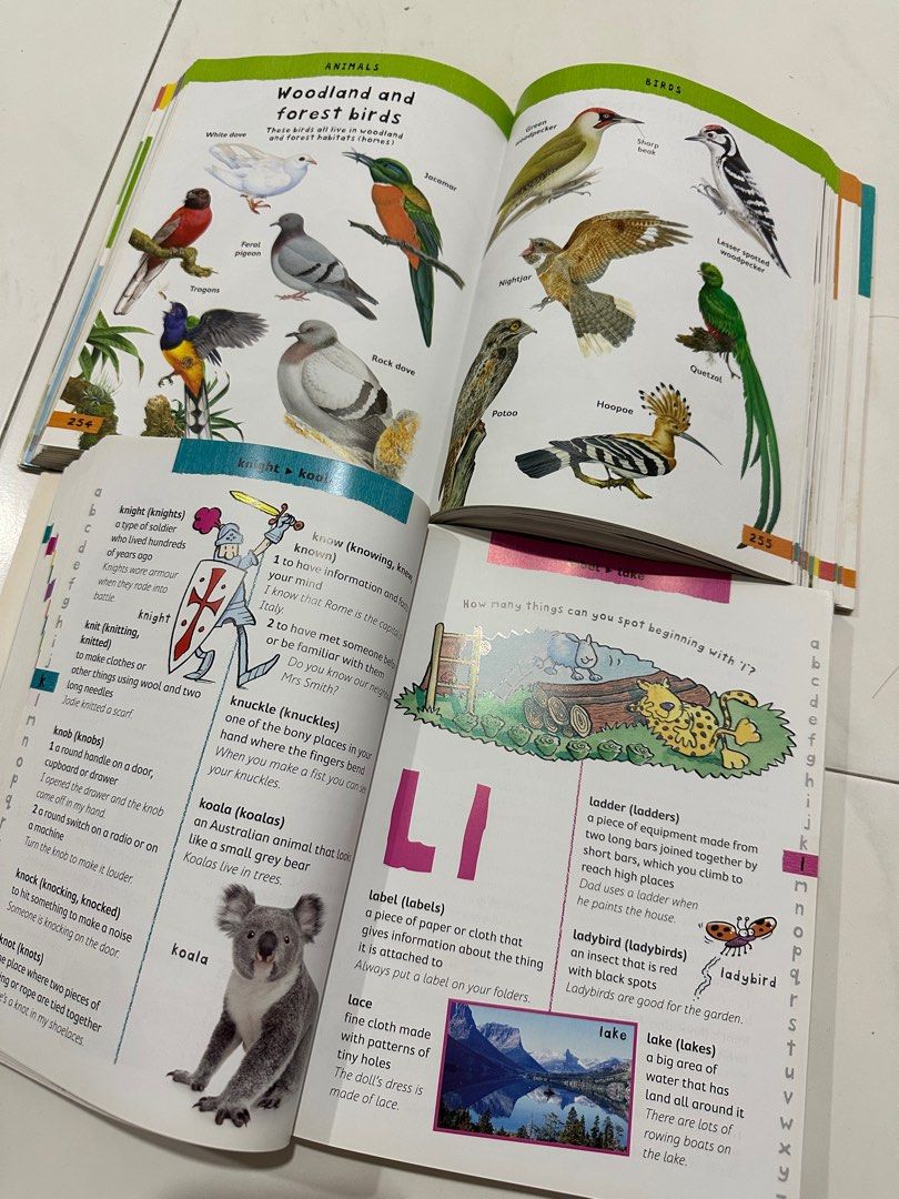 Junior picture dictionary, Hobbies & Toys, Books & Magazines, Children ...