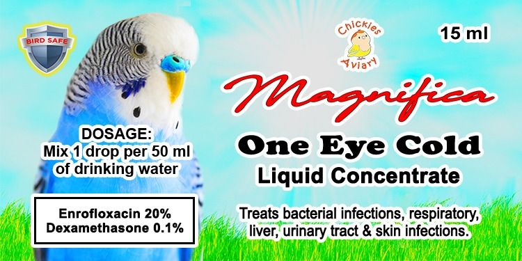Magnifica One Eye Cold Liquid Concentrate for Birds & Pigeons ...