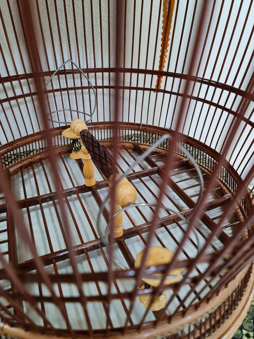 Merbok Bird Cage, Pet Supplies, Homes & Other Pet Accessories on Carousell